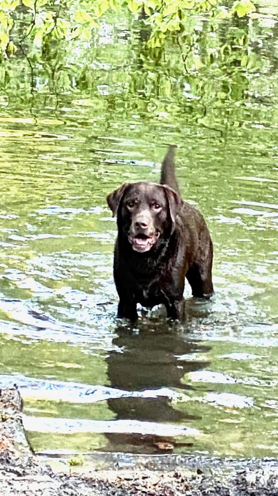 Das Gründungsteam - Auf der Couch
