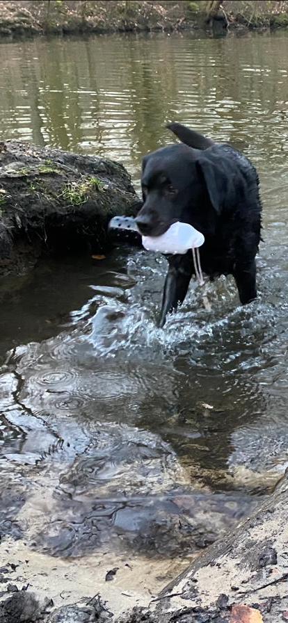 Unsere Überlegungen - Auf der Couch